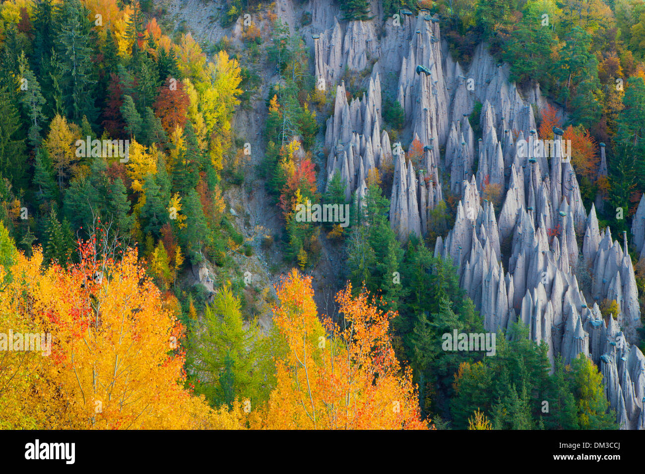 Ritten wood hi-res stock photography and images - Alamy