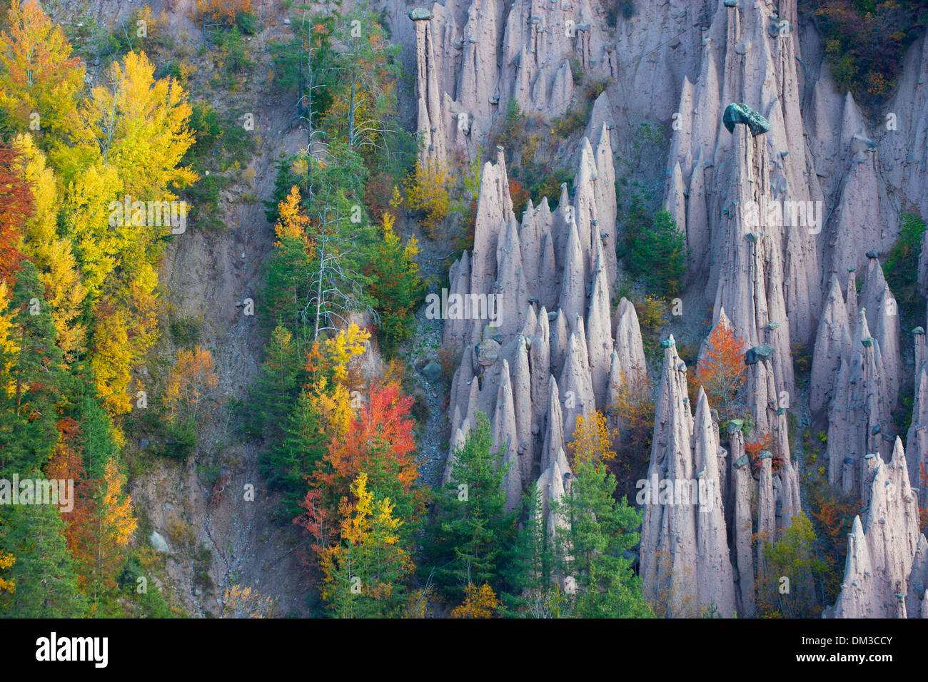 Ritten wood hi-res stock photography and images - Alamy