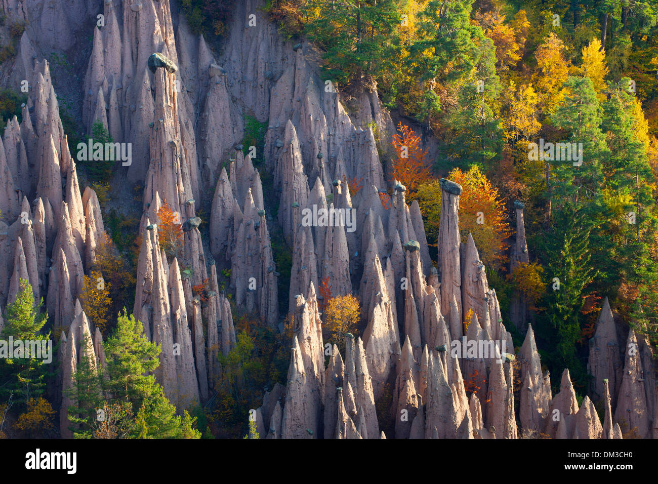 Ritten wood hi-res stock photography and images - Alamy
