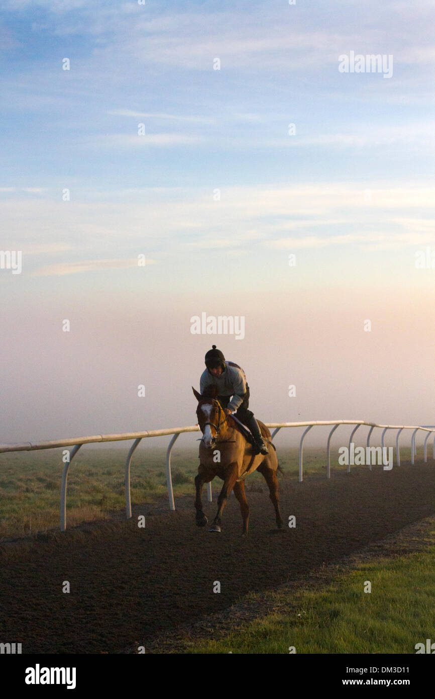 Horses are exercised on the gallops at middleham hi-res stock ...