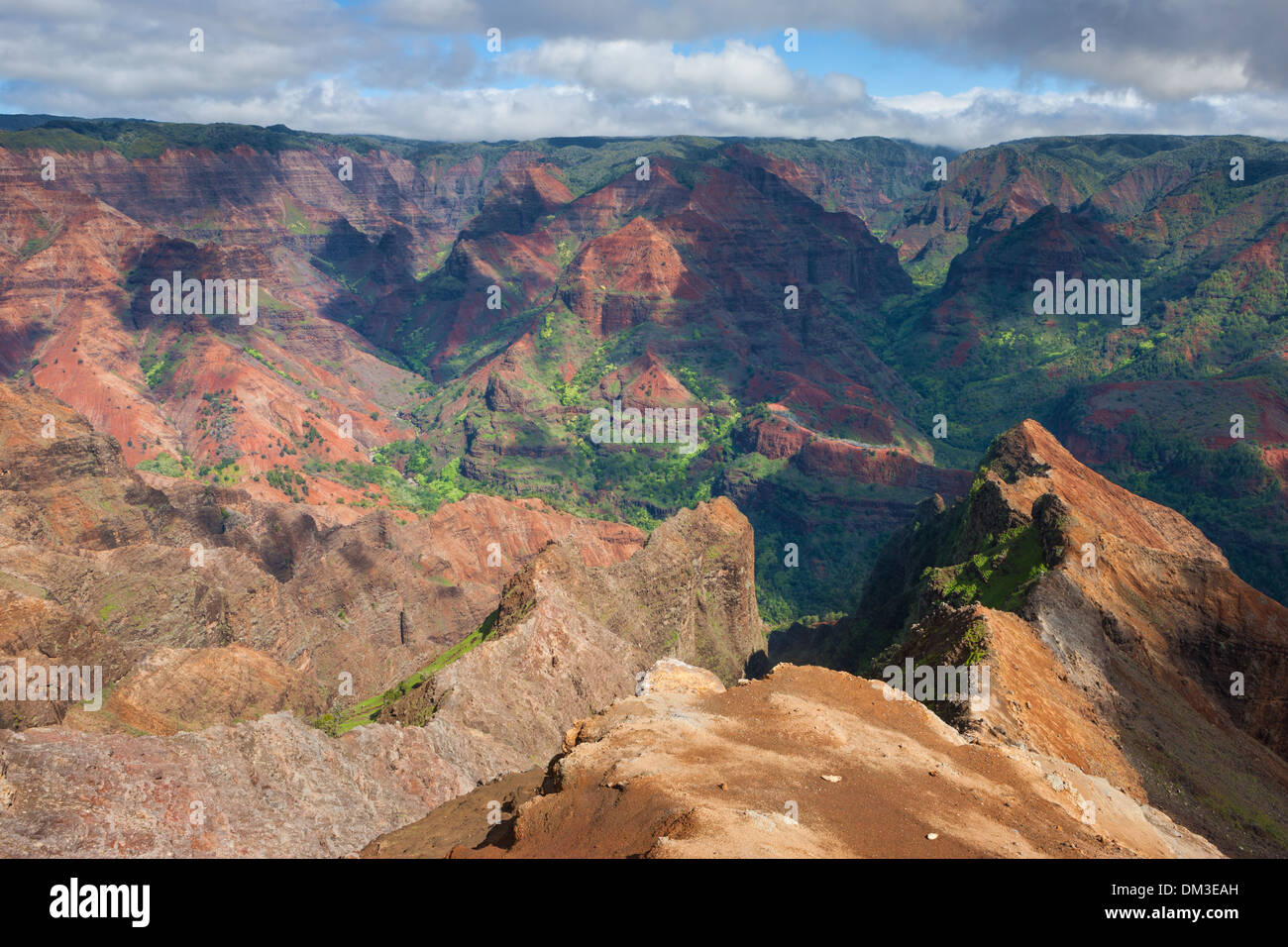 Waimea, canyon, USA, United States, America, Hawaii, Kauai, gulch, rock ...