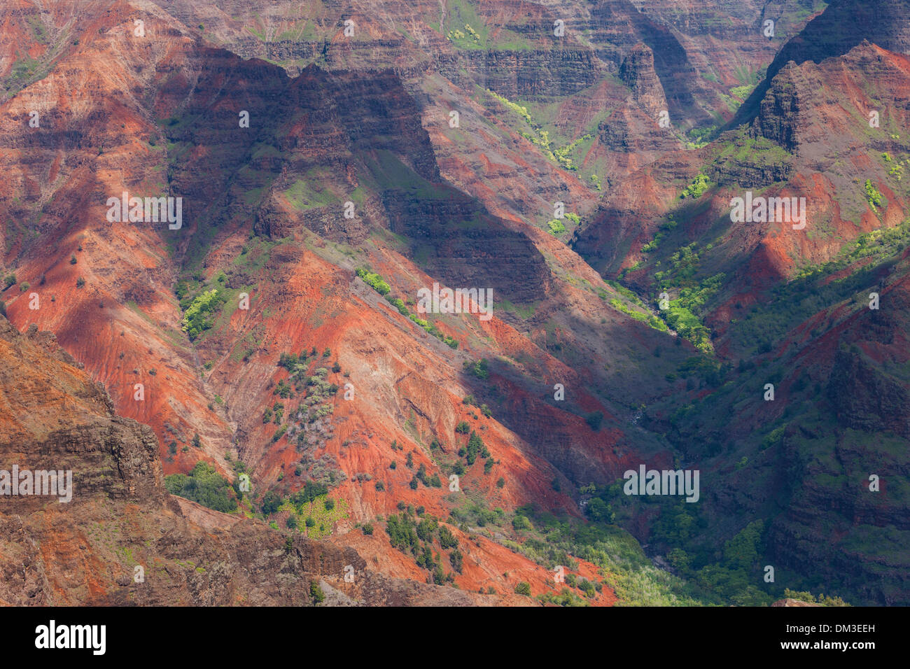 Waimea, canyon, USA, United States, America, Hawaii, Kauai, gulch, rock ...