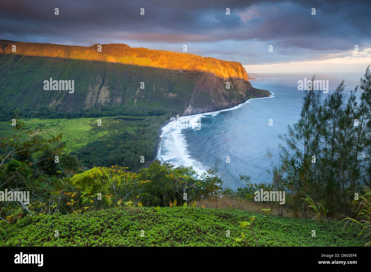 Waipio valley beach hi-res stock photography and images - Alamy