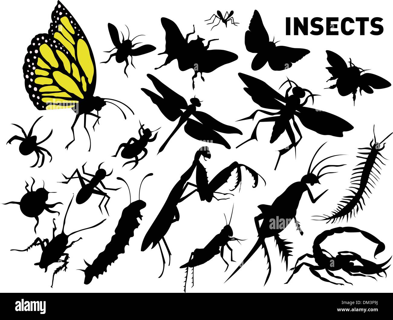 Insects vector vectors hi-res stock photography and images - Alamy