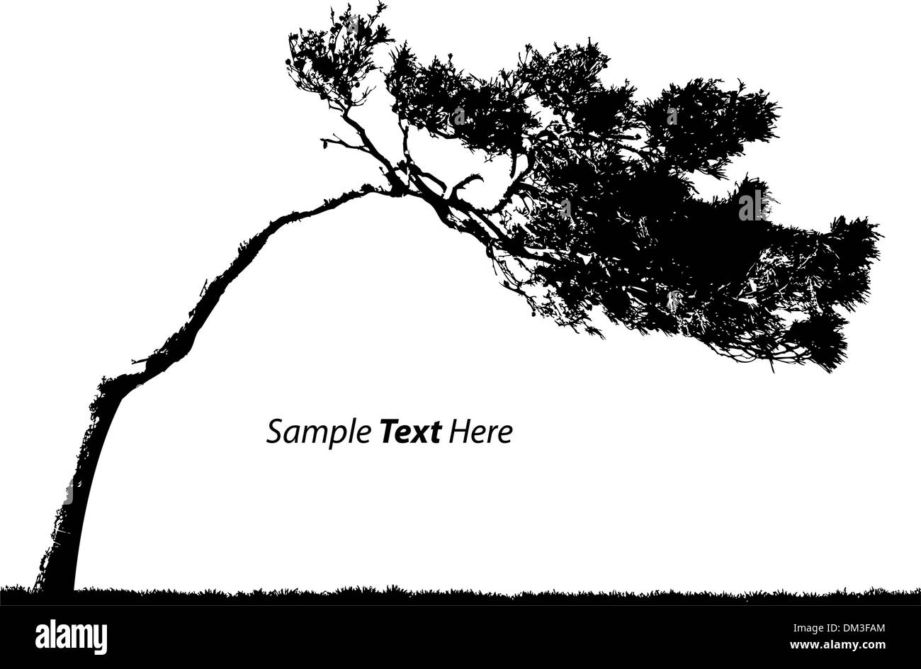 Plant a tree vector vectors hi-res stock photography and images - Alamy