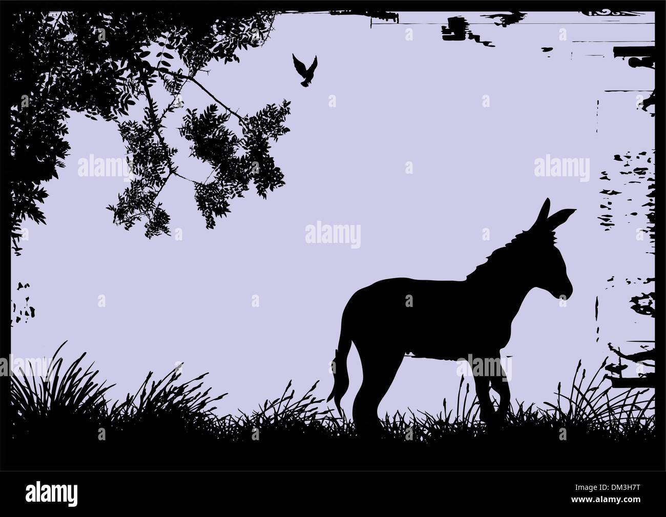 Donkey vector vectors hi-res stock photography and images - Alamy