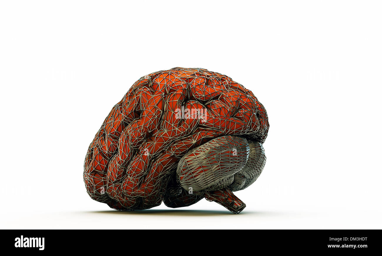 brain in cage isolated on white background Stock Photo - Alamy
