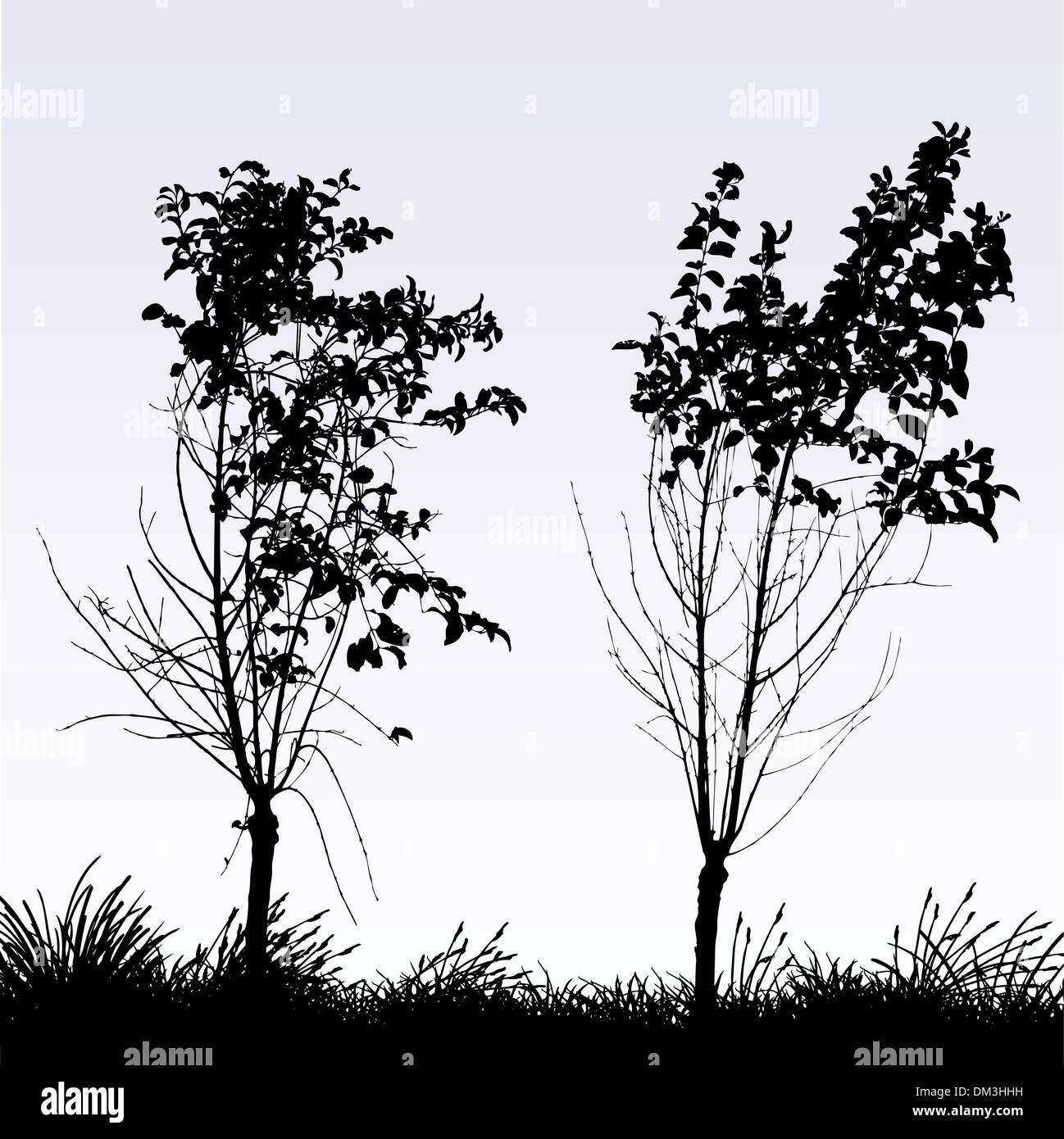 Two trees silhouette Stock Vector Images - Alamy