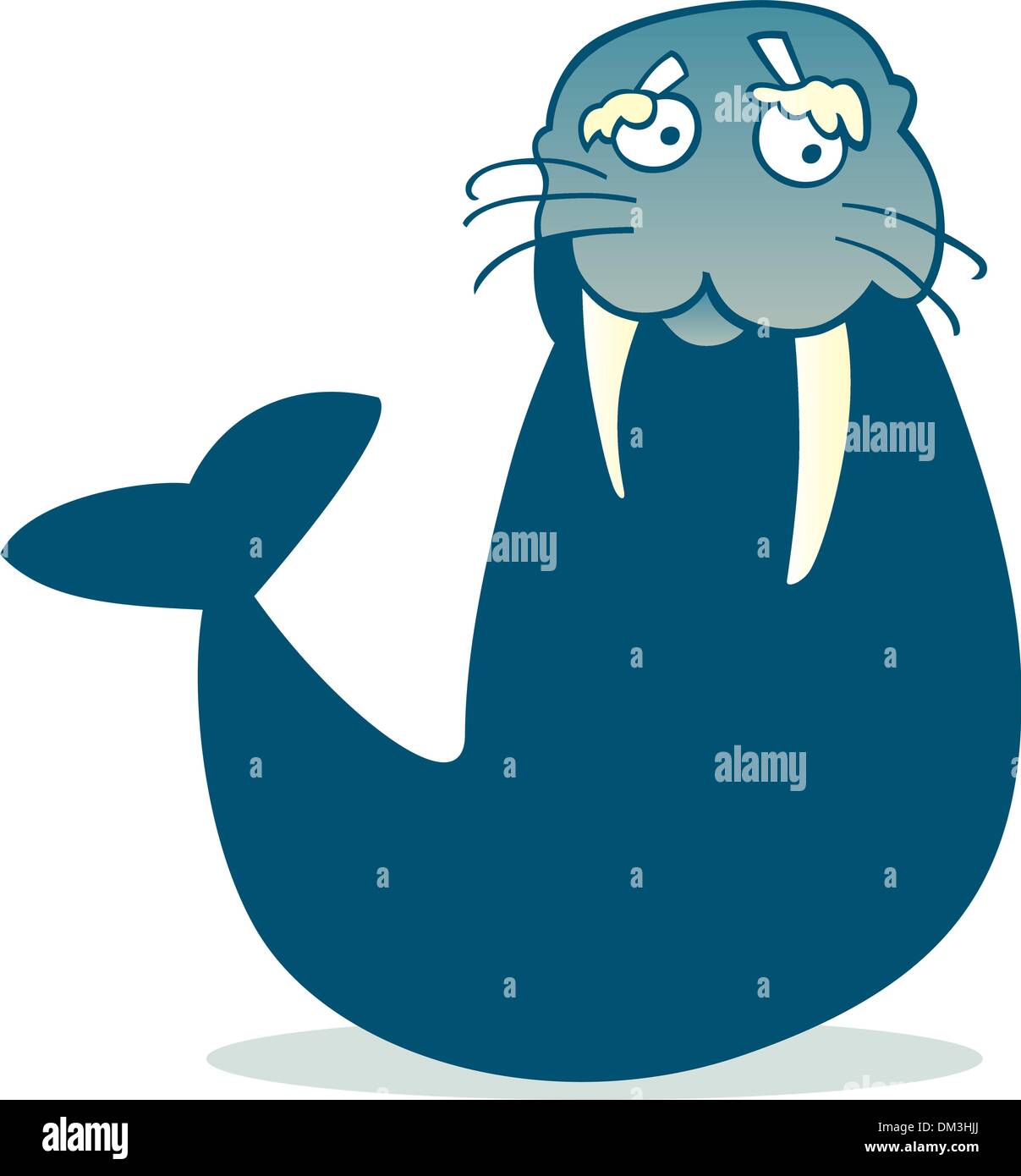 Walrus flipper hi-res stock photography and images - Alamy