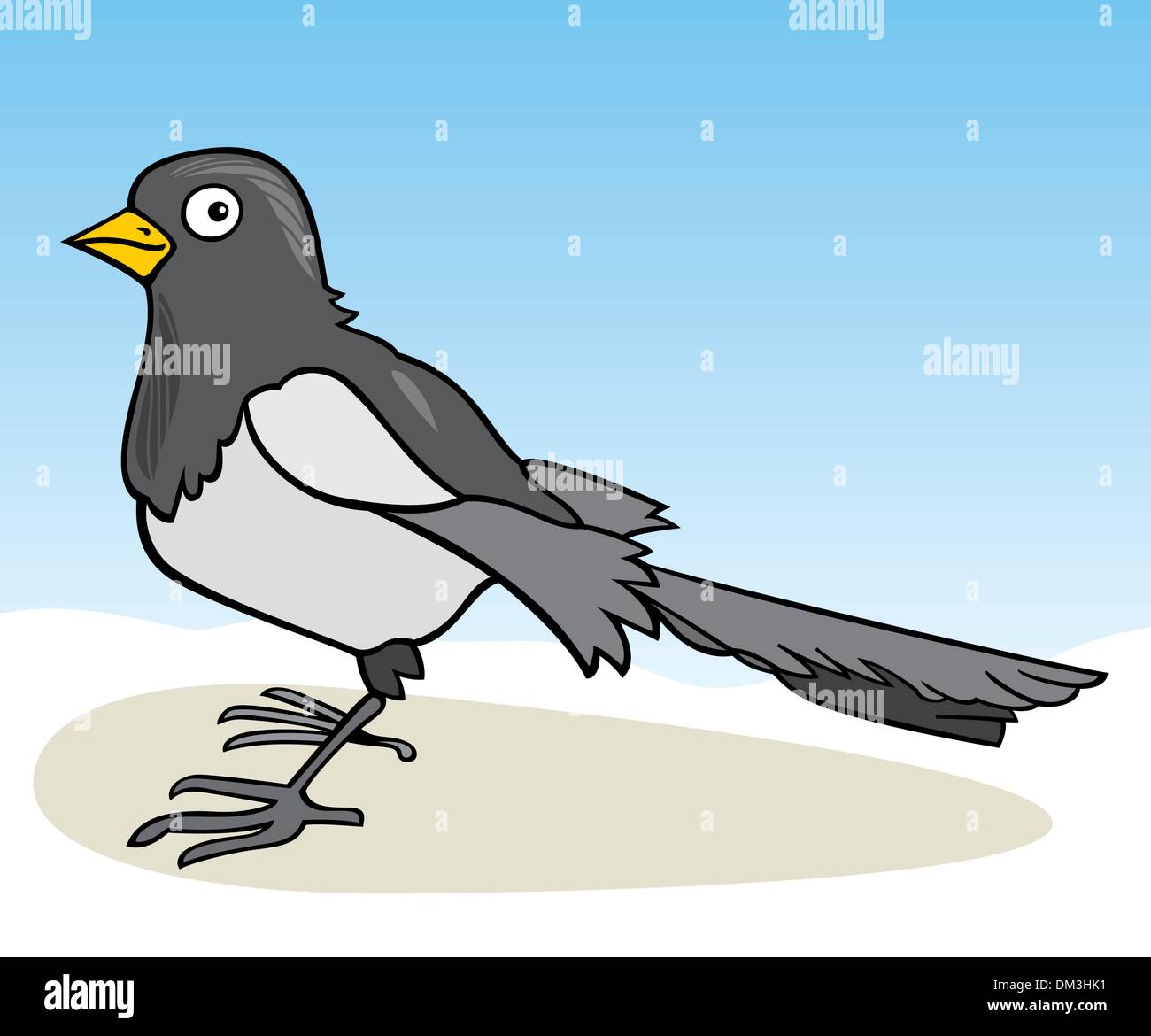 Magpie illustration Stock Vector Images - Alamy