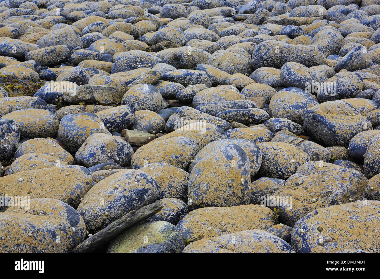 Detail detail England rock cliff Great Britain Europe background coast ...