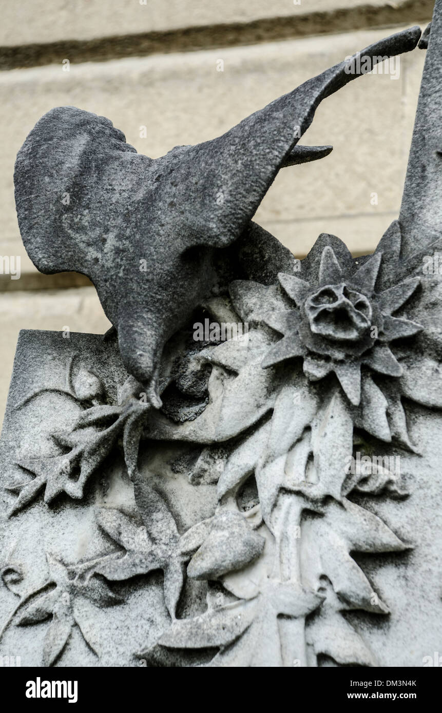 Brompton cemetery bird hi-res stock photography and images - Alamy