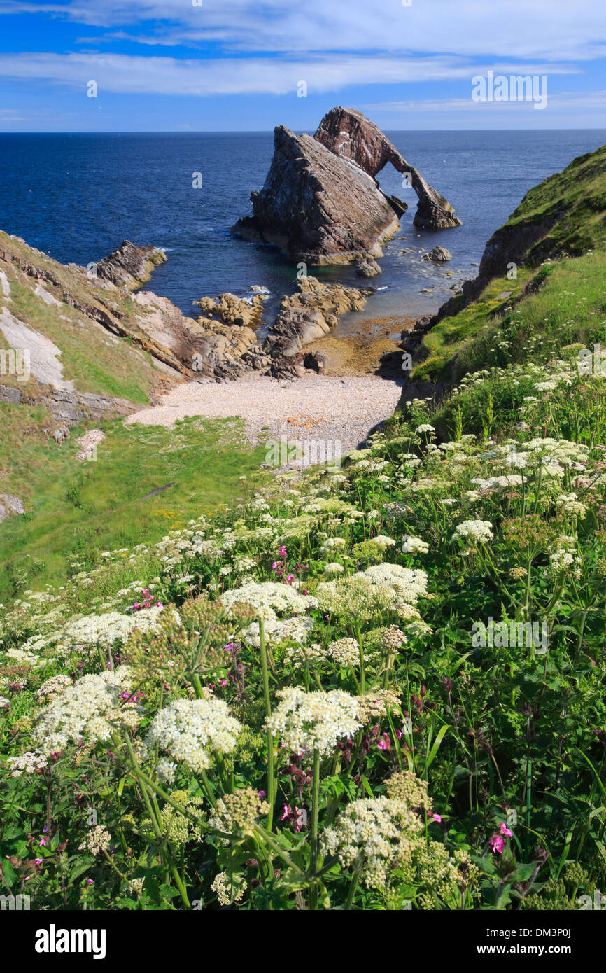 Arch flowers curves Bow Fiddle Bow Fiddle rock cliff cliff spring water ...