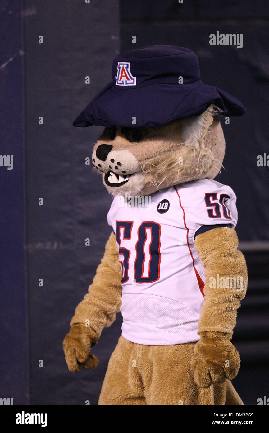 Arizona Wildcats Mascot during game action against Nebraska Corn ...