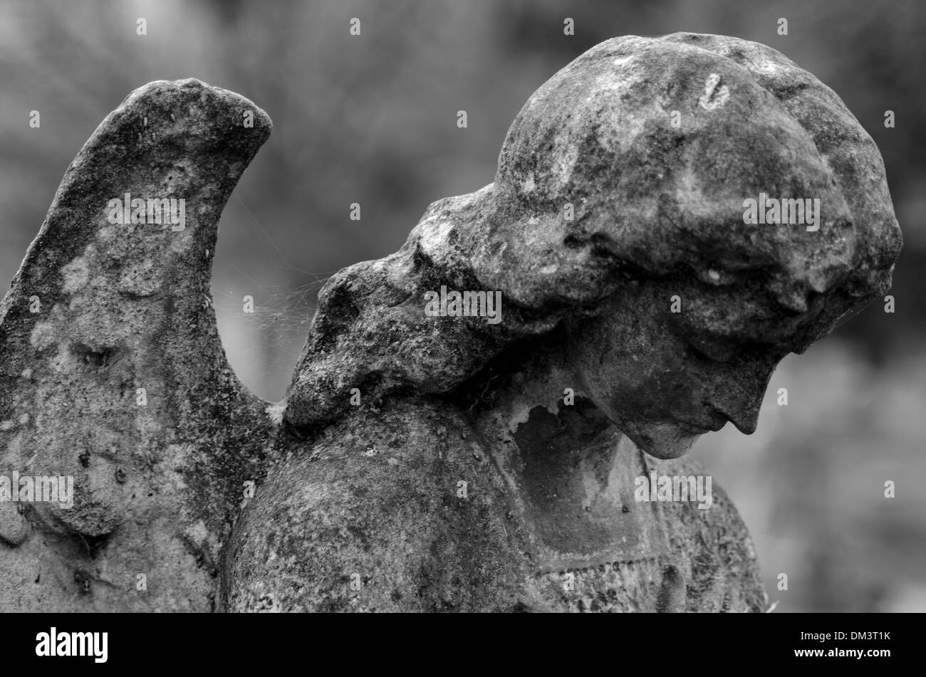 Stone Angel, Brompton Cemetery Stock Photo - Alamy