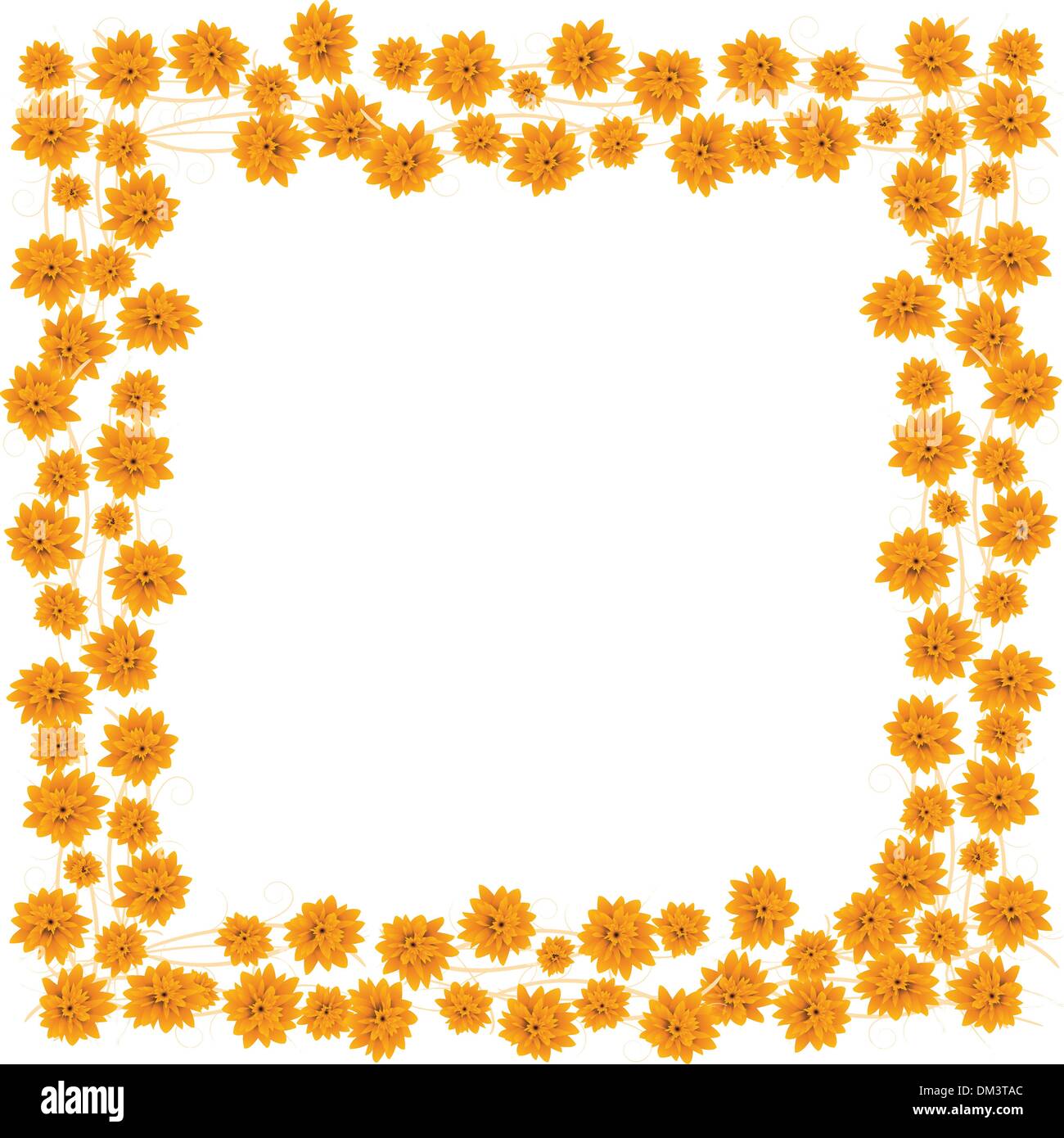 Bunch of orange roses Stock Vector Images - Alamy