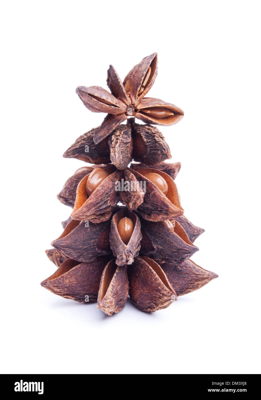 Anise tree hi-res stock photography and images - Alamy