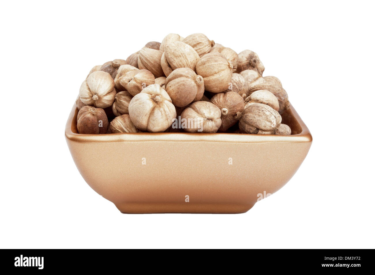 Siam cardamom, Camphor seed isolated on white background Stock Photo ...