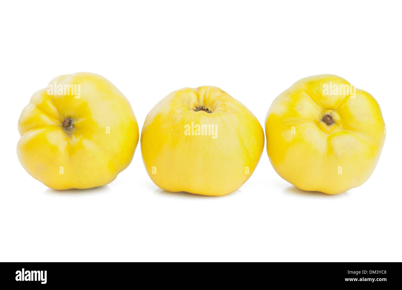 three quinces on a white background Stock Photo - Alamy