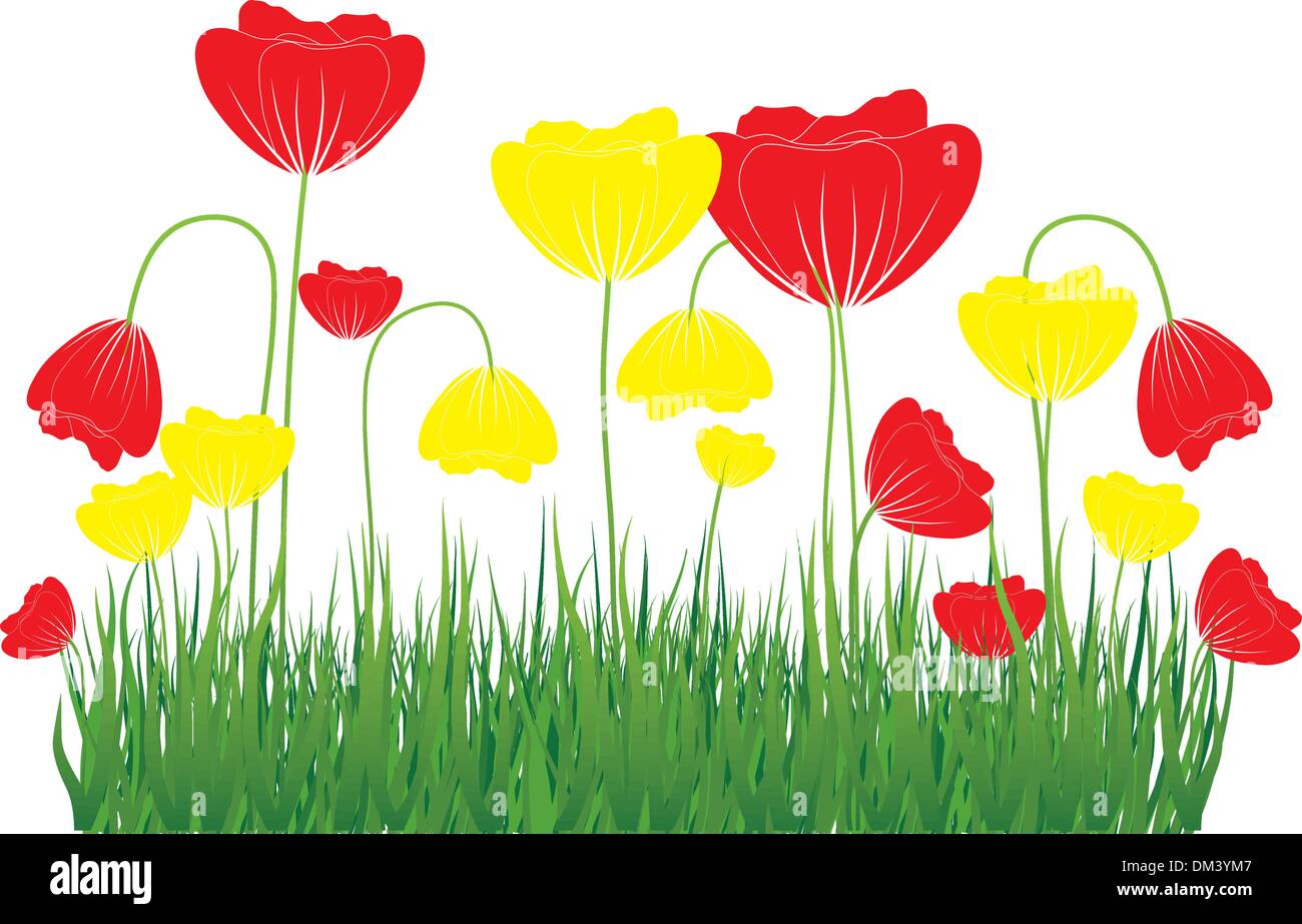 Background with color flowers. Vector Illustration Stock Vector Image ...