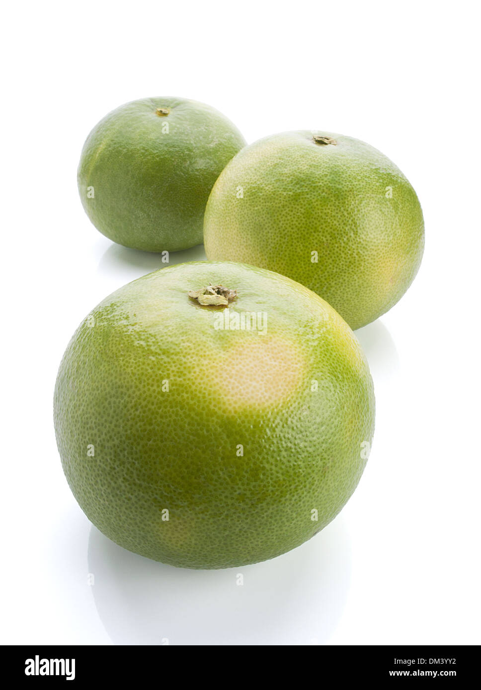 Green Grapefruit, Citrus Sweetie Stock Photo - Alamy