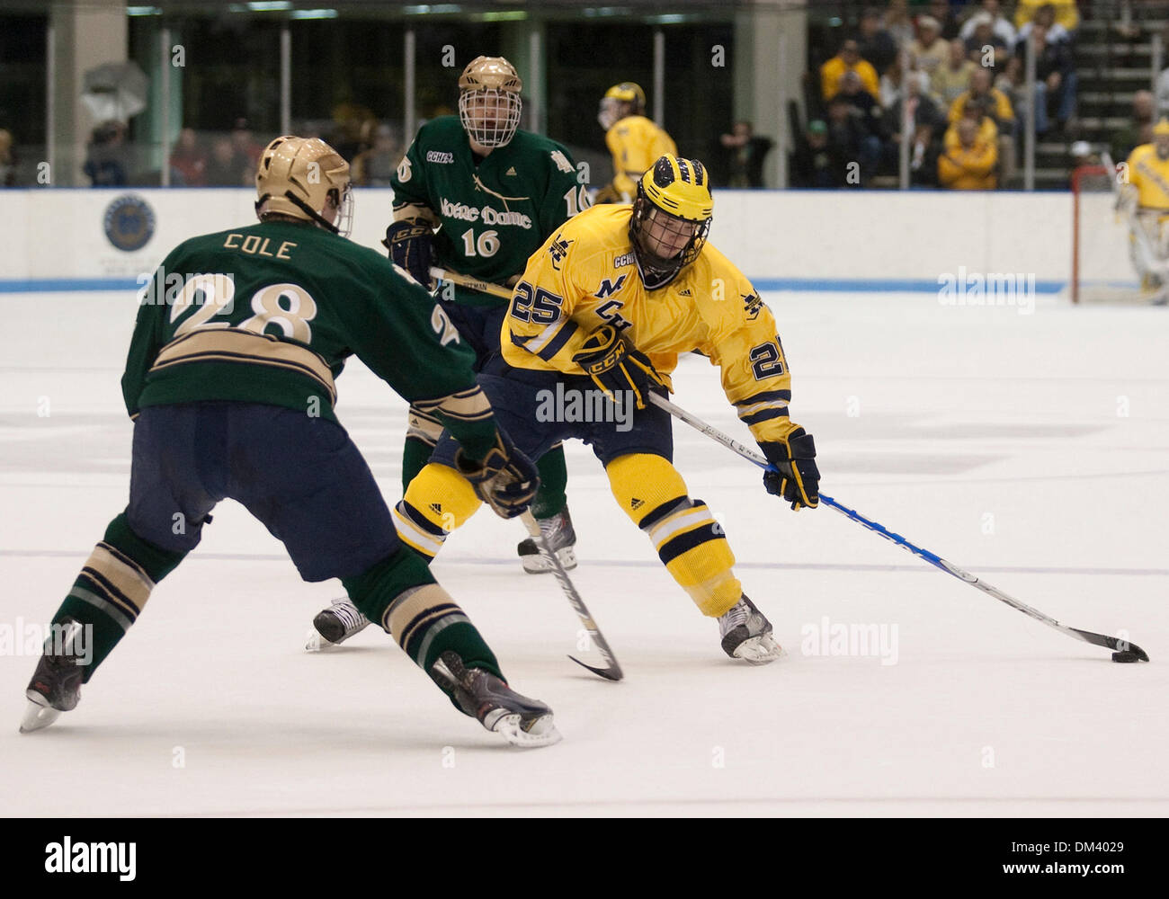 Michigan Left Wing David Wohlberg (25) and Notre Dame Defensemen Ian ...