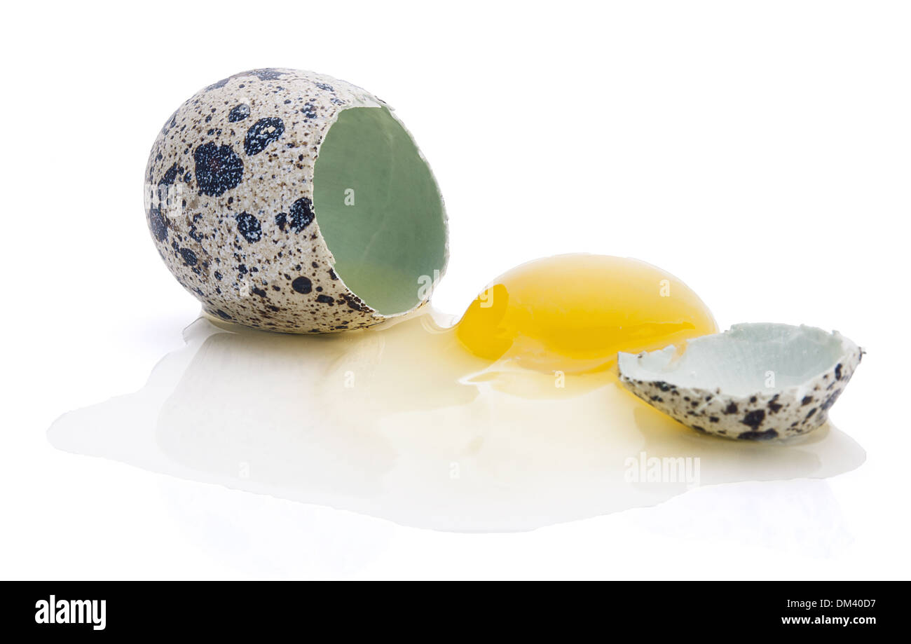 Broken quail egg isolated on white background Stock Photo - Alamy
