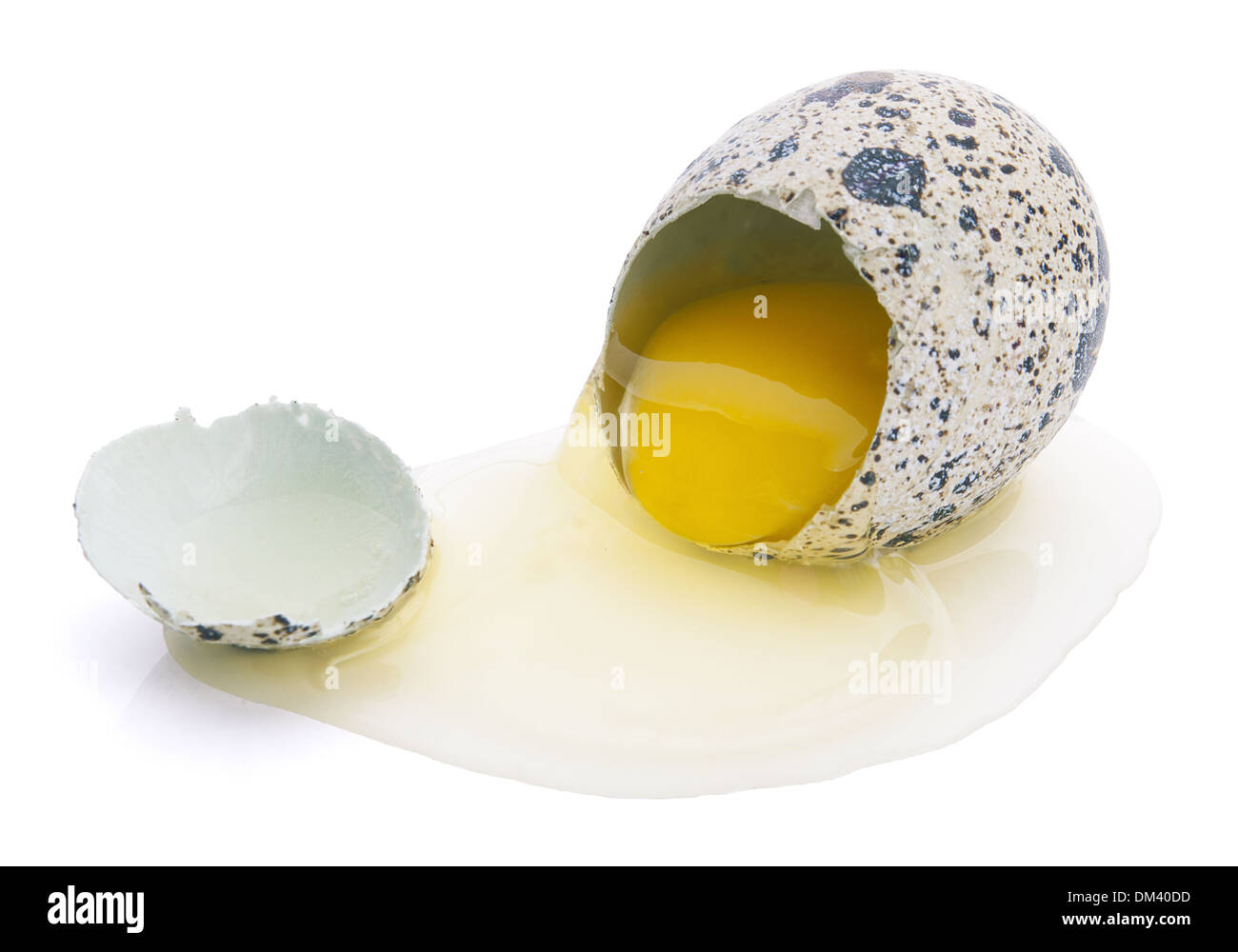 Broken quail egg isolated on white background Stock Photo - Alamy