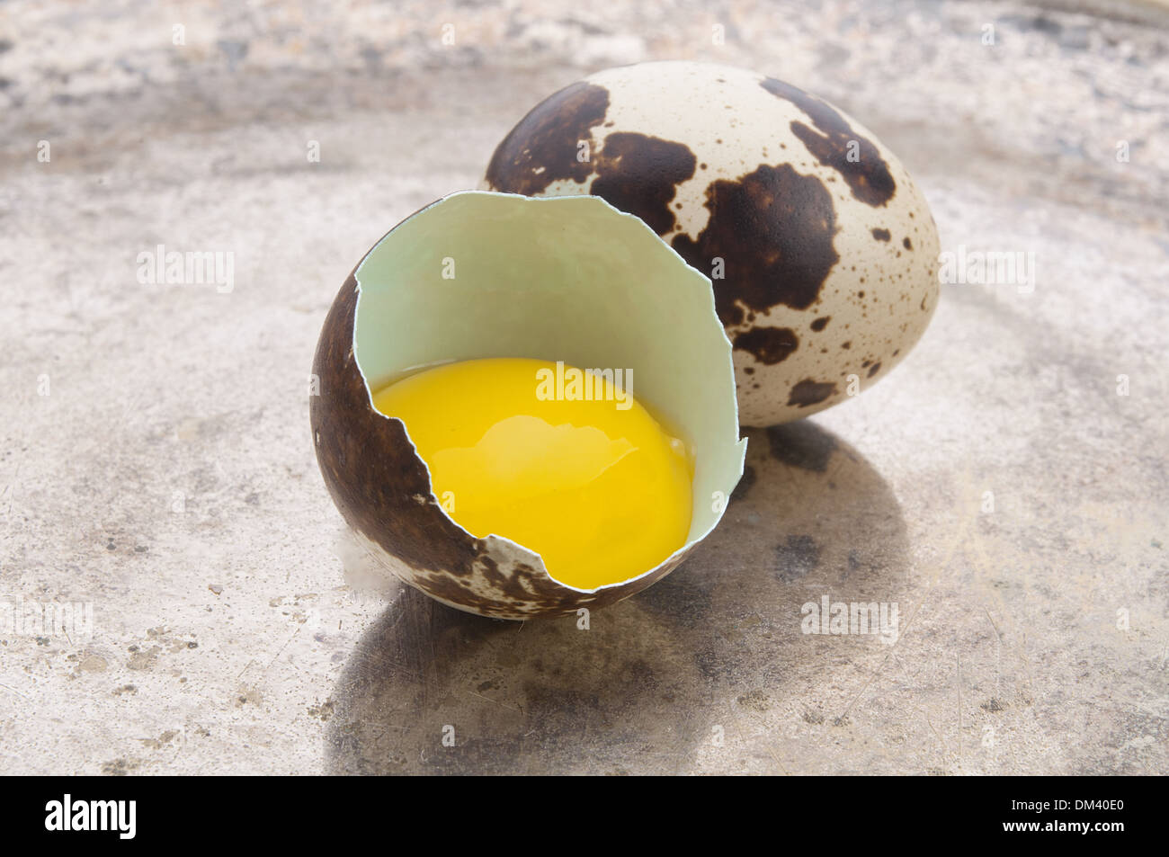 Broken quail egg on silver plate Stock Photo - Alamy