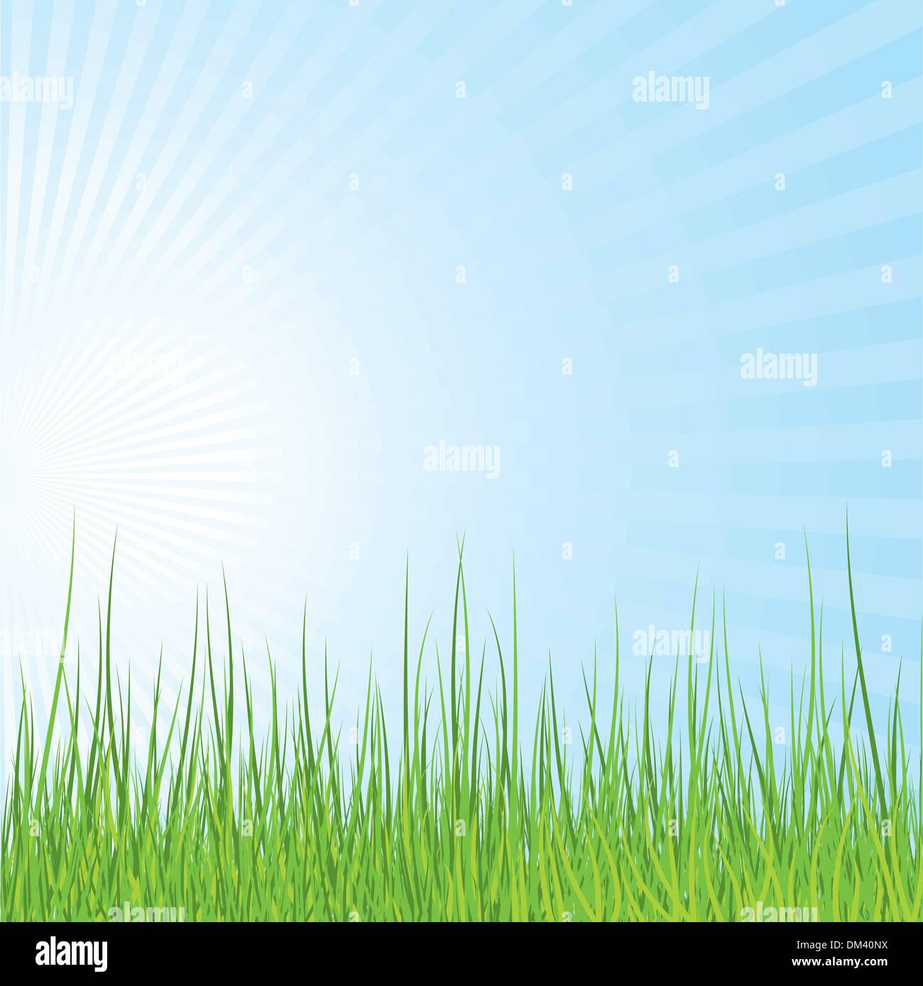 Field backdrop with forest Stock Vector Images - Alamy