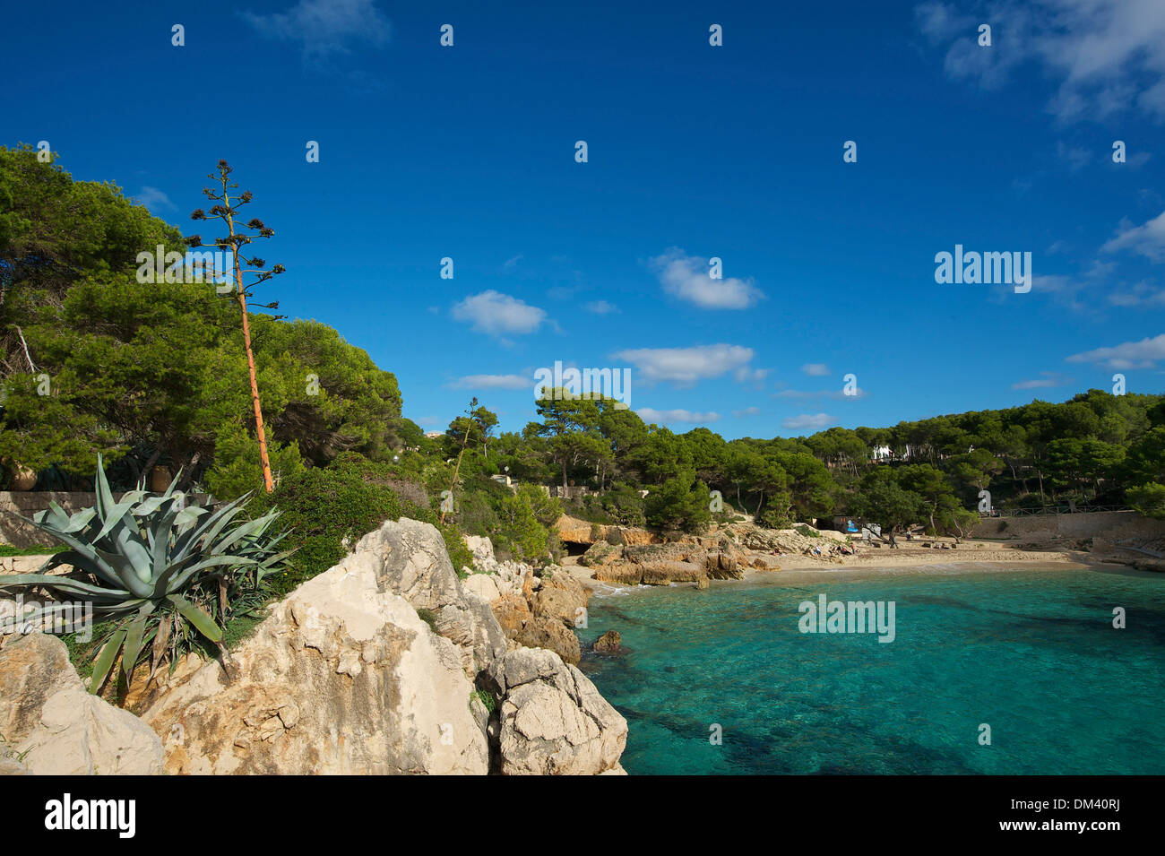 Balearic Islands Majorca Spain Europe Cala Gat Cala Ratjada bay coast ...