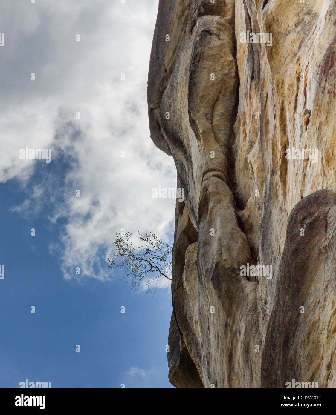 Reautifully shaped rock with tiny tree growing from it against patches ...