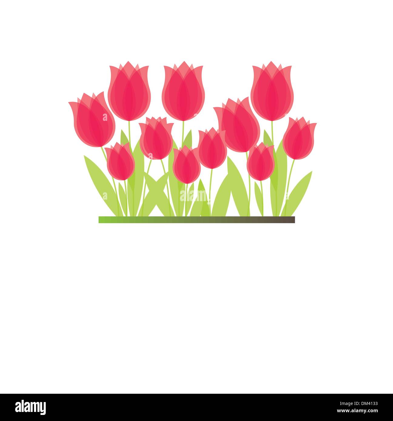 Branch of red tulip. vector illustration Stock Vector Image & Art - Alamy