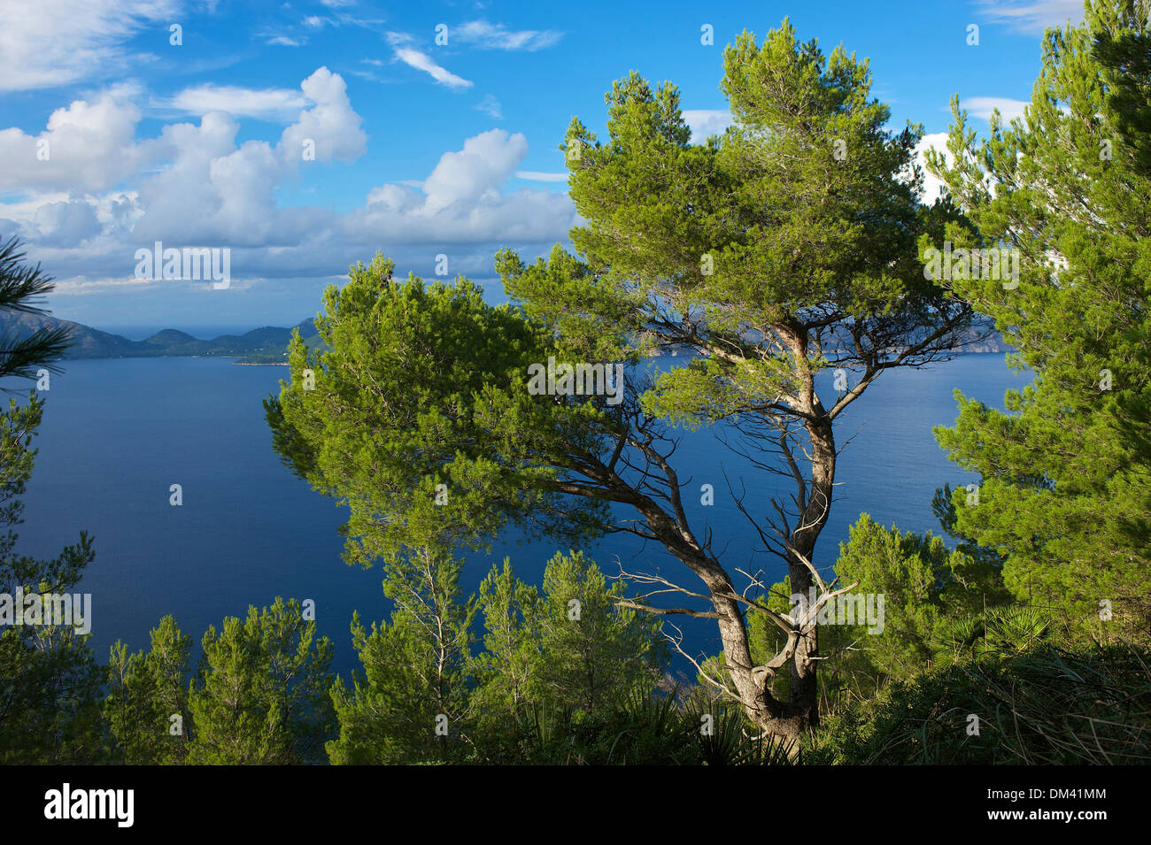 Balearic Islands Majorca Spain Europe cliff coast coast seashore ...