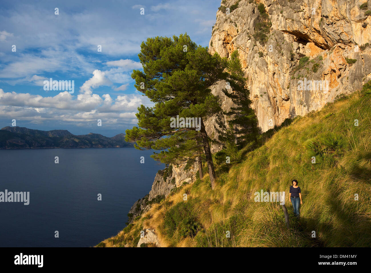 Balearic Islands Majorca Spain Europe cliff coast coast seashore ...