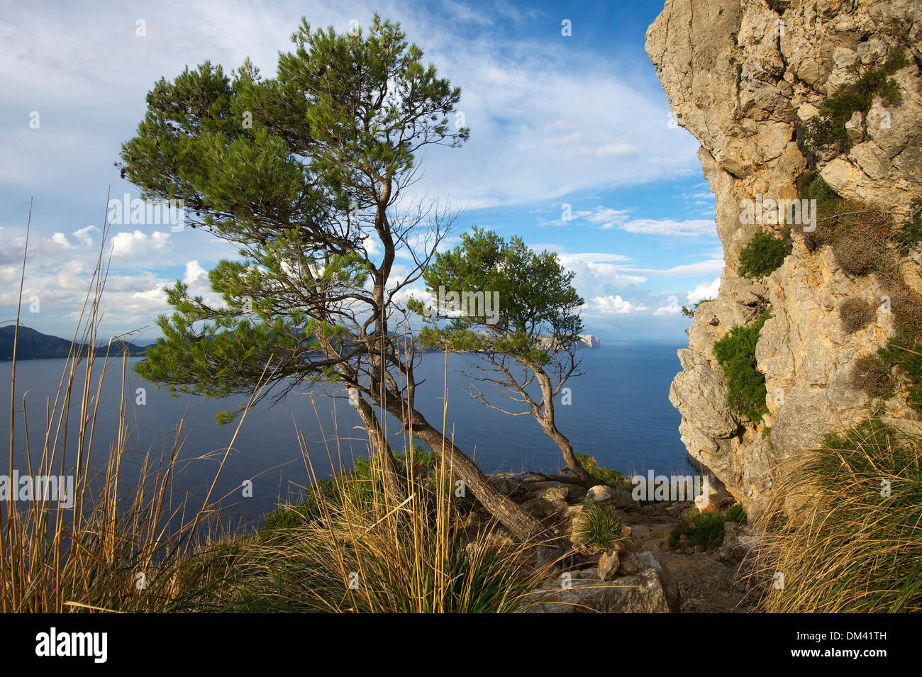 Balearic Islands Majorca Spain Europe cliff coast coast seashore ...