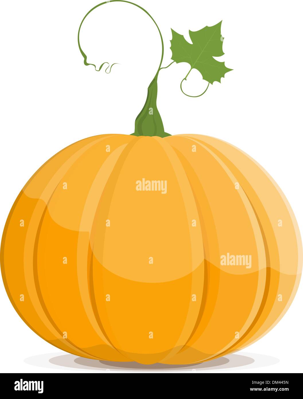 Orange pumpkin on white Stock Vector Images - Alamy