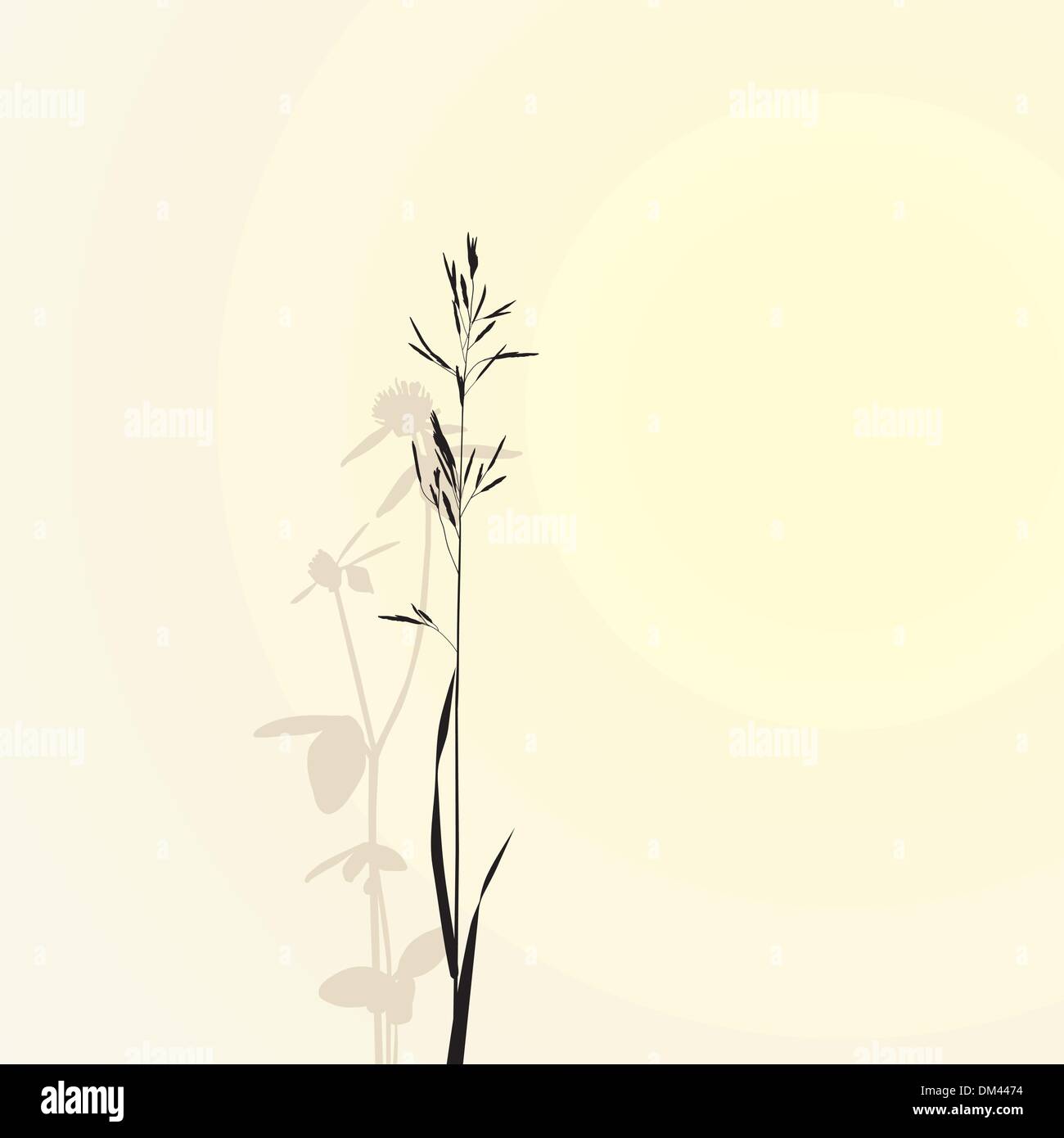 Grass And Clover Stock Vector Image & Art - Alamy