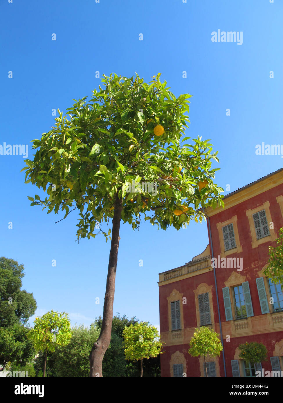 Matisse museum nice france hi-res stock photography and images - Alamy