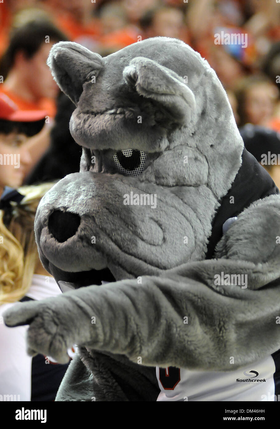 Gonzaga basketball mascot hi-res stock photography and images - Alamy