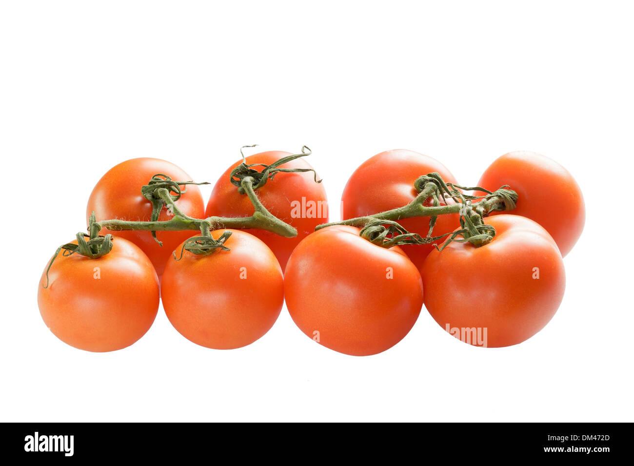 Vine tomato cutout hi-res stock photography and images - Alamy