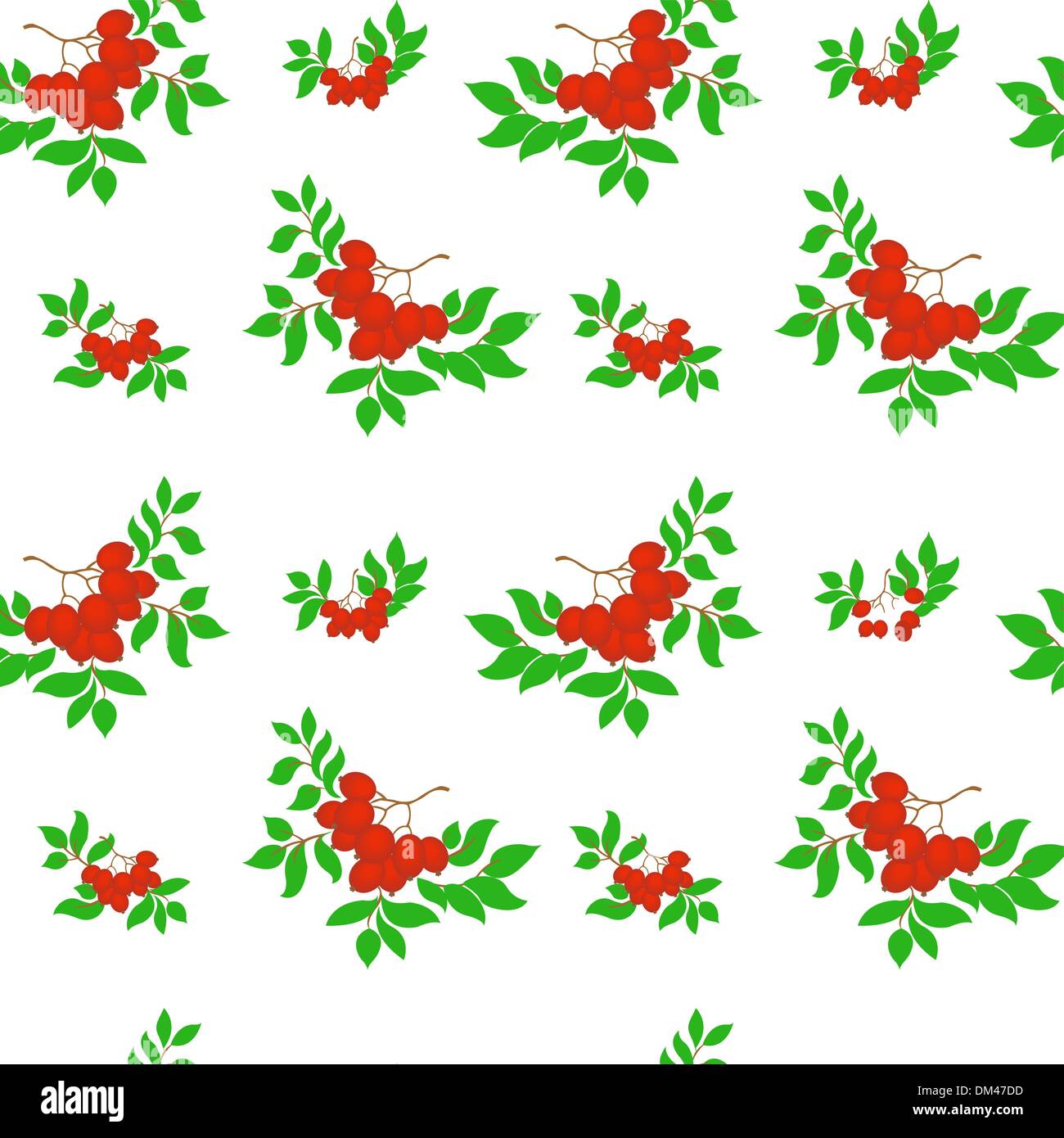 Ash leaves isolated on Stock Vector Images - Alamy