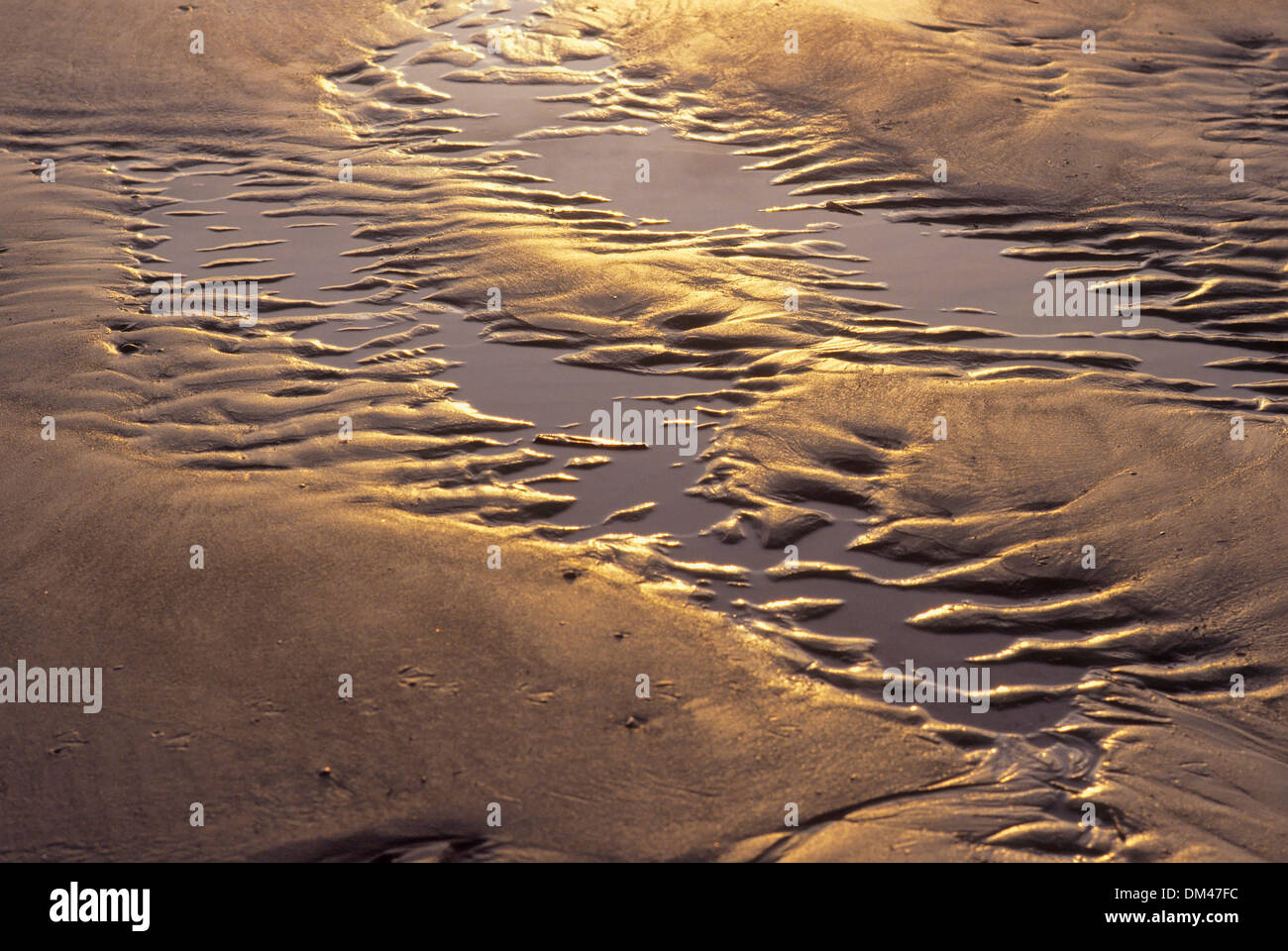 Sandstrand muster hi-res stock photography and images - Alamy