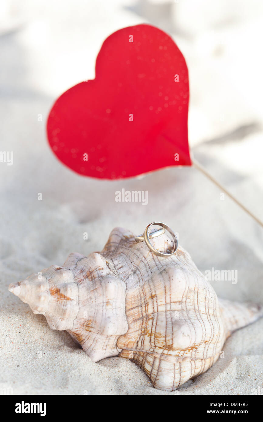 Marry shell hi-res stock photography and images - Alamy