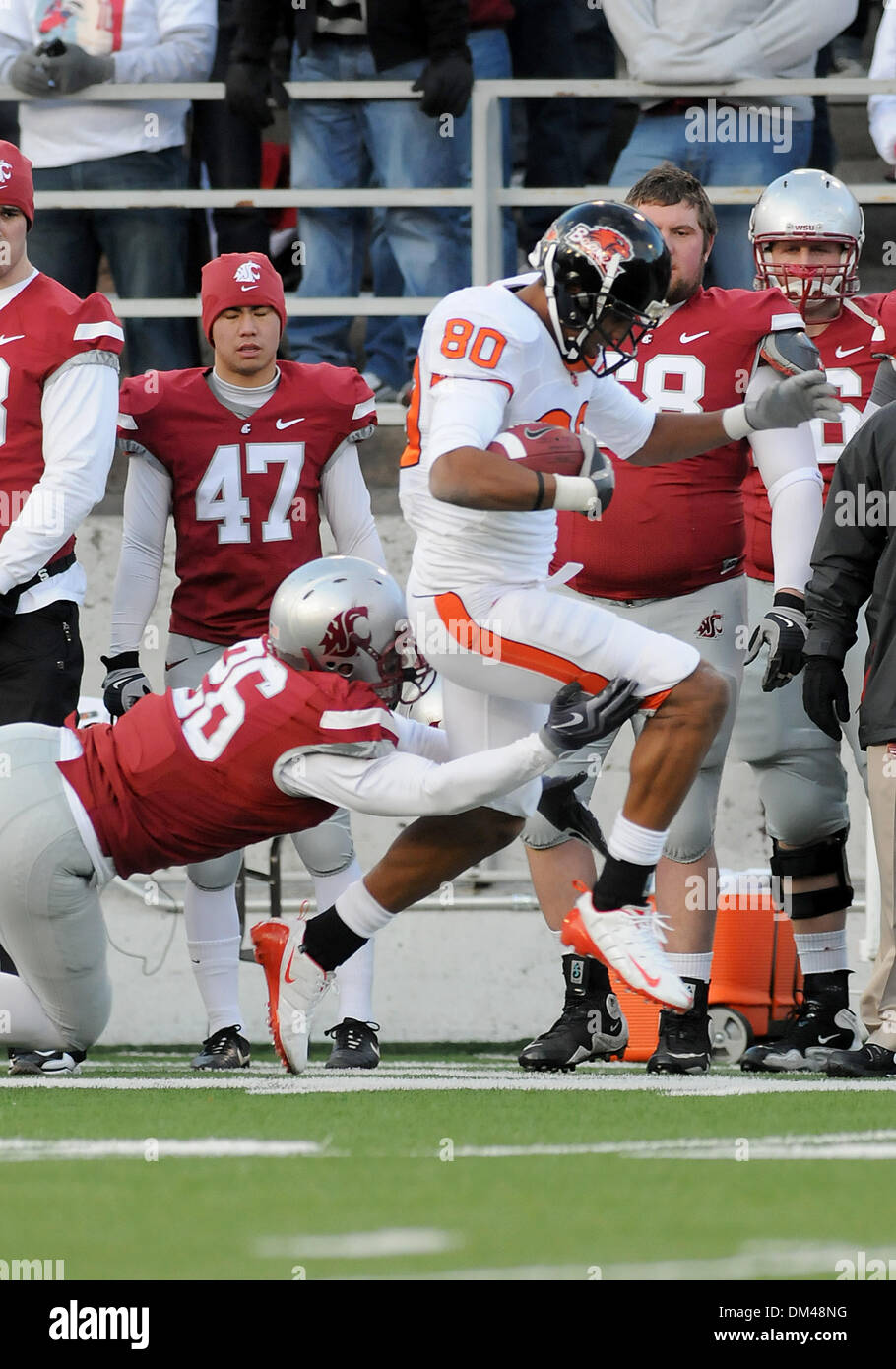 Oregon St.Damola Adeniji (80) breaks the arm tackle of Washington St ...