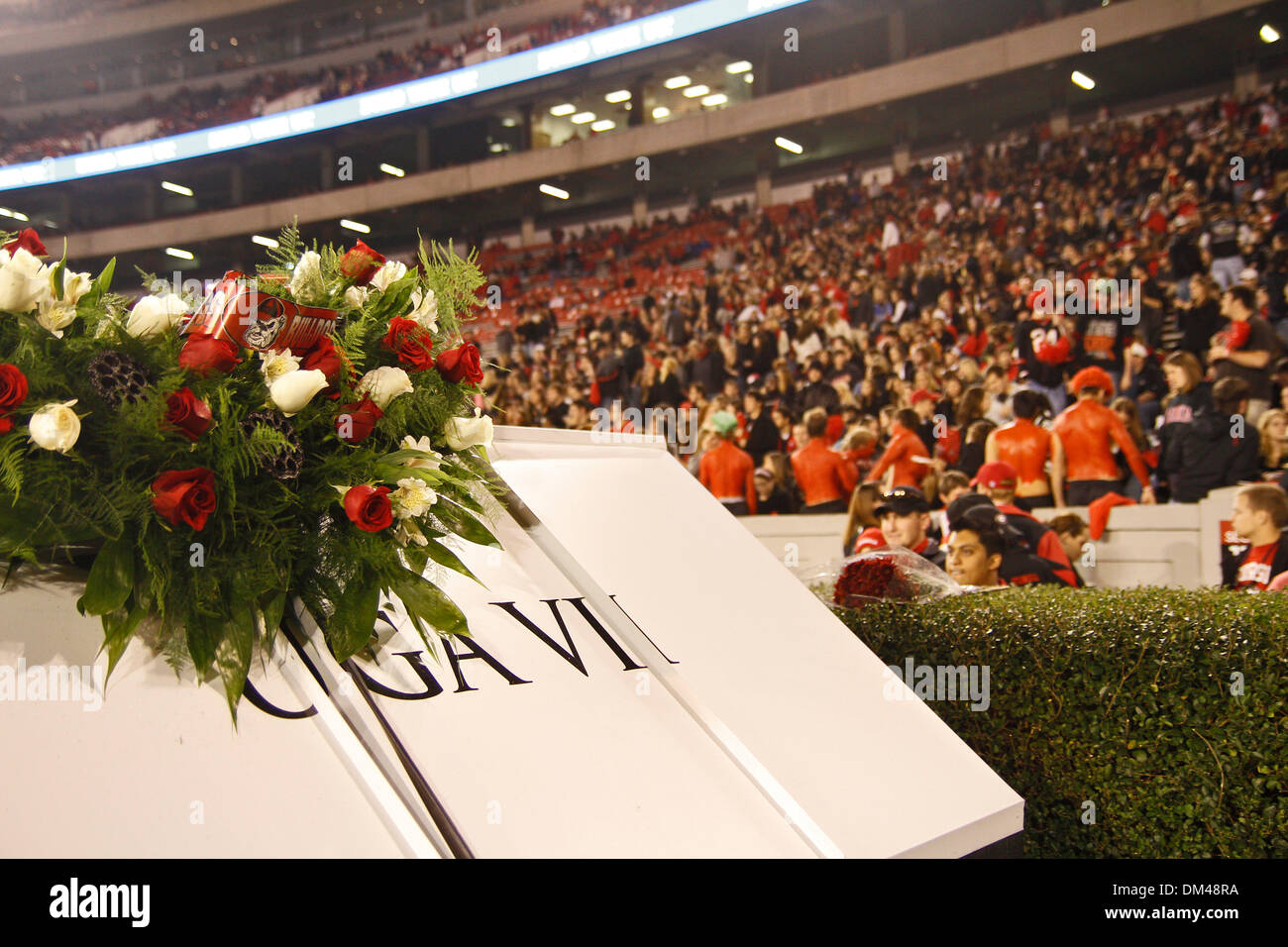 Uga the dog hi-res stock photography and images - Alamy