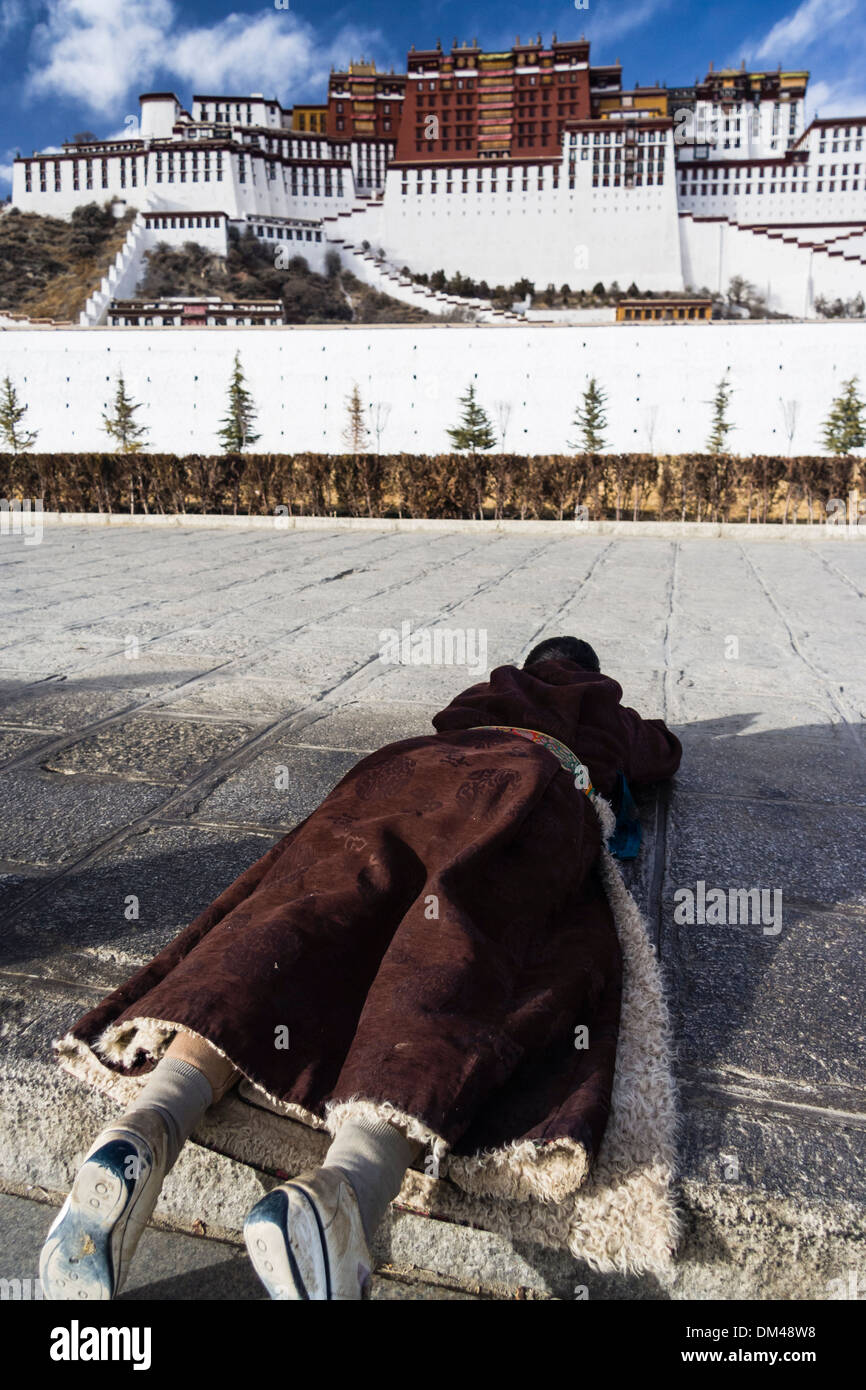 Prostrate lhasa hi-res stock photography and images - Alamy