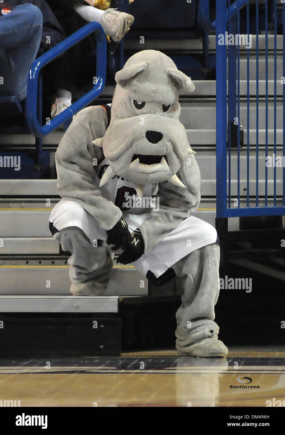 Gonzaga basketball mascot hi-res stock photography and images - Alamy