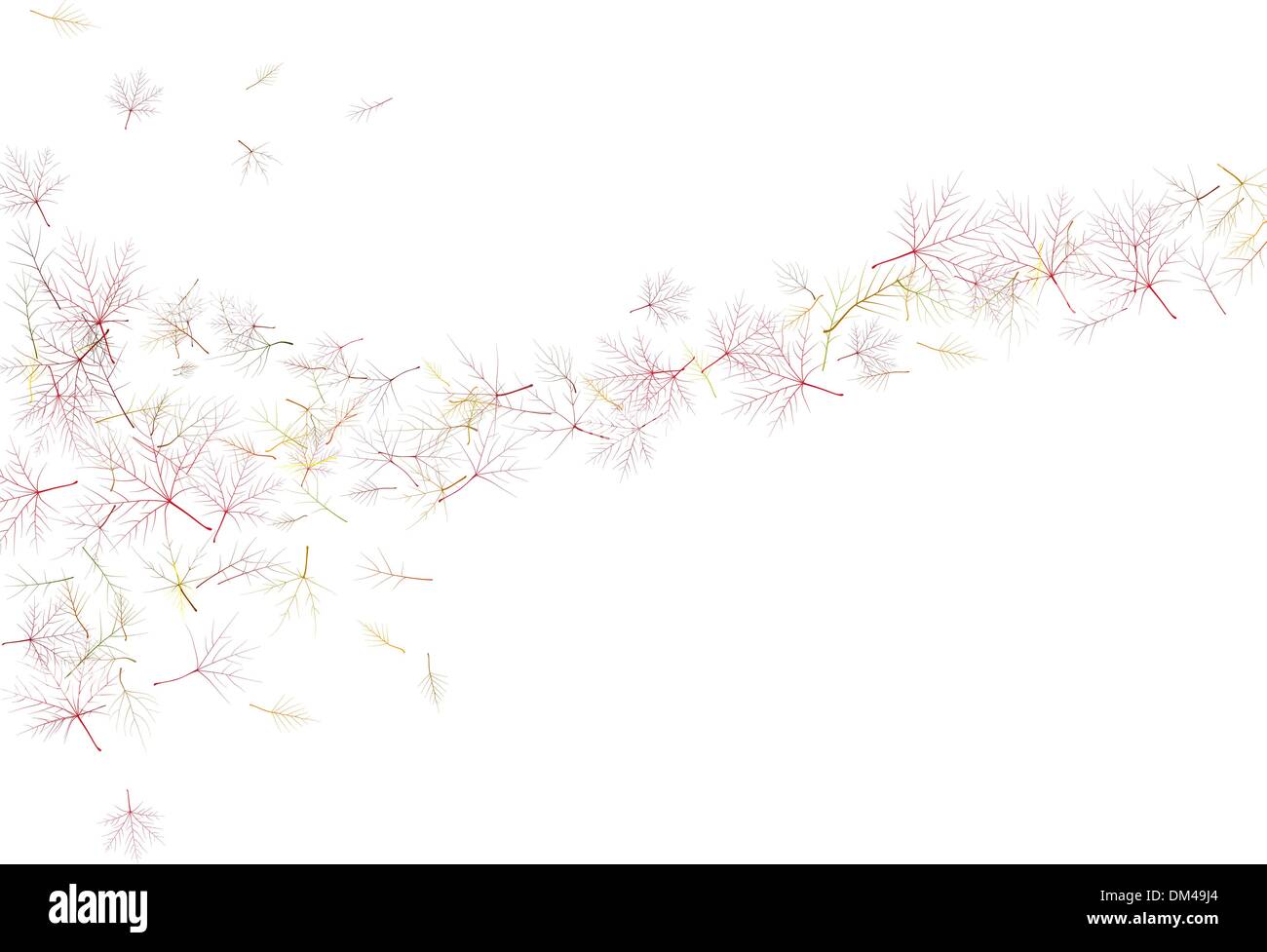 Gradient background brown Cut Out Stock Images & Pictures - Alamy