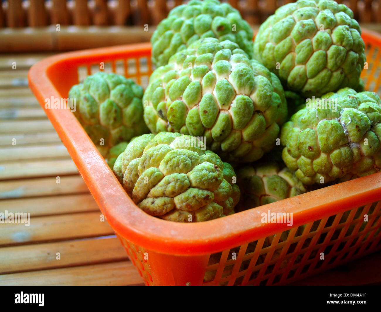 Sugar Apple fruit Stock Photo - Alamy